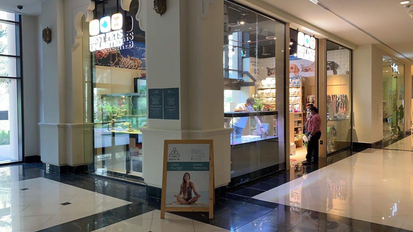 Pet shop Near me : Find the nearest pet shop in UAE